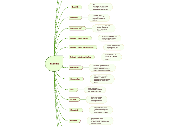 La celula - Mind Map